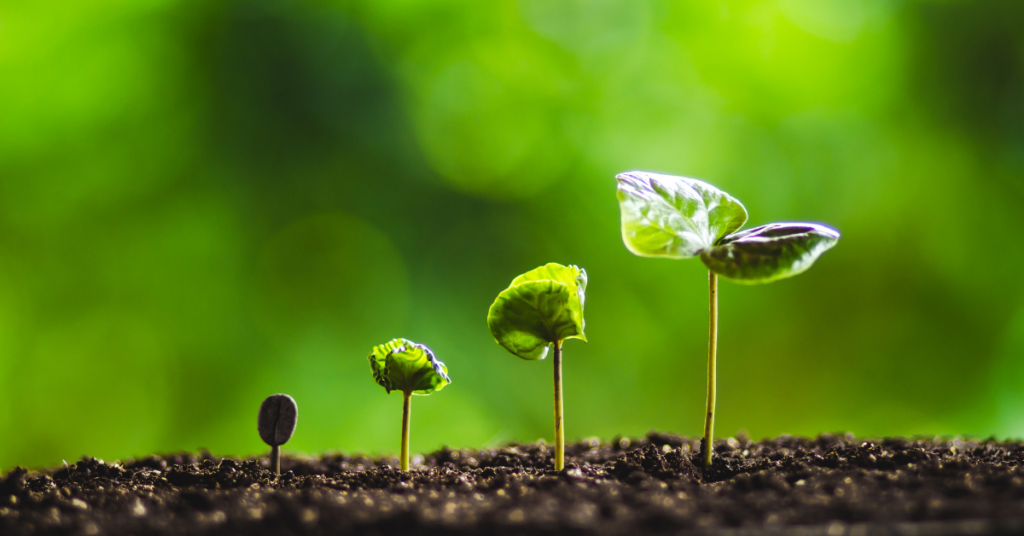 snapreads magazine work success money investing psychology ...