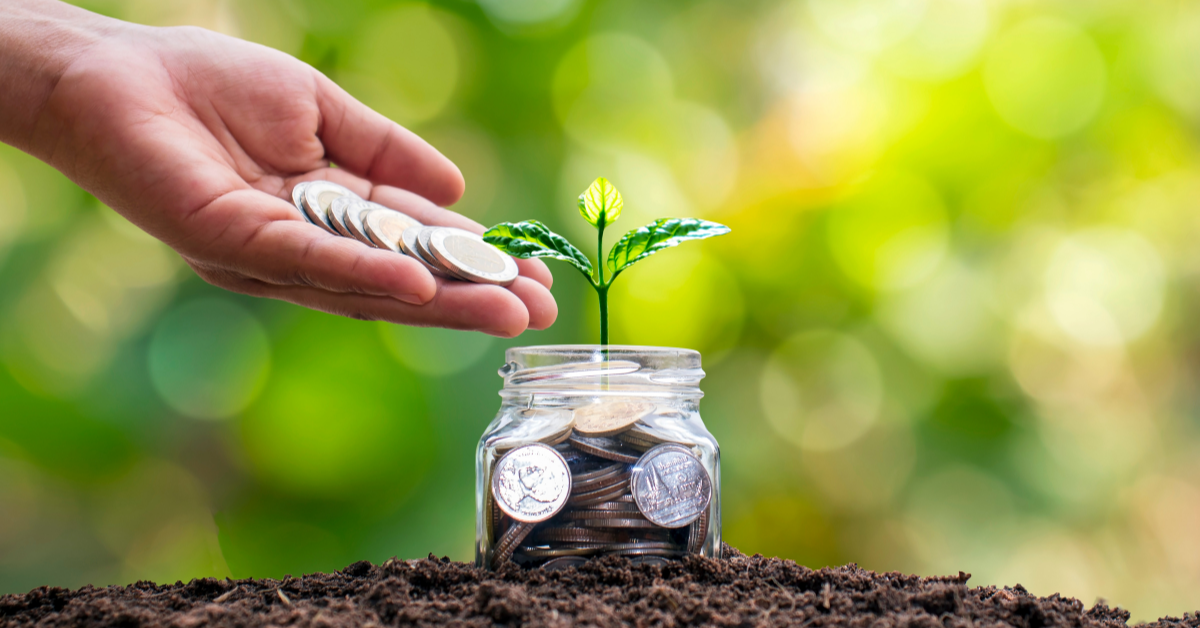 7 Best Liquid Funds for Beginner Investors with a Limited Budget