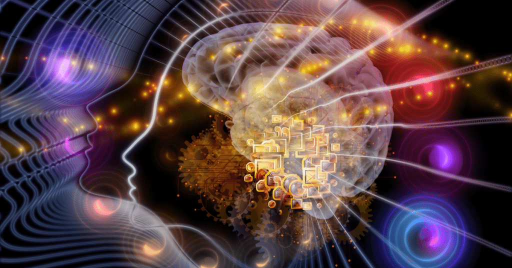 The Power of Observation: Learn How to Read Minds Like a Pro